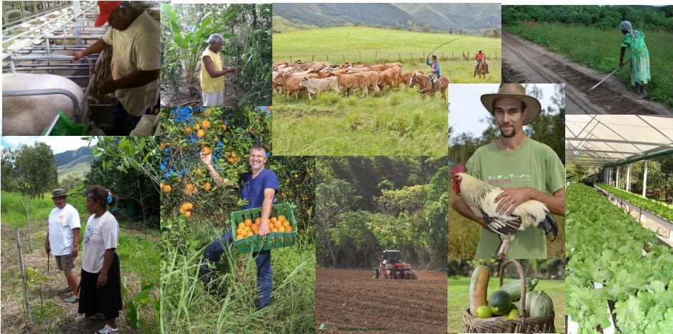 Agriculture Knowledge Introducing A New Way To Share Development